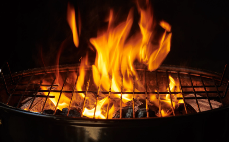 The FirePod Pizza Oven & BBQ Recipes